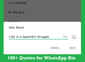 100+ Quotes for WhatsApp Bio in 2023 (India) - FineDose