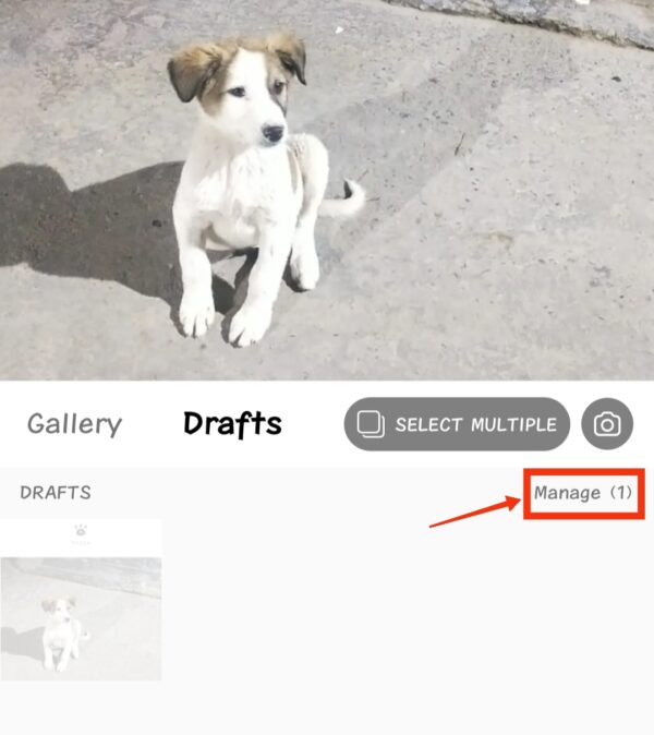 Where are my Drafts on Instagram (2023 Updated) - FineDose